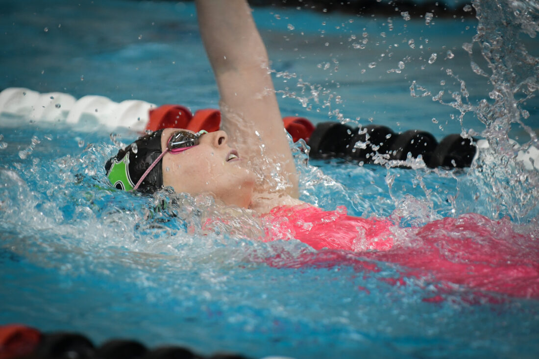 Lewisburg’s Shannon, Ordonez win 2 golds each at Day 1 of District 4 ...